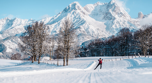 Interactive piste map of Skicircus Saalbach Hinterglemm