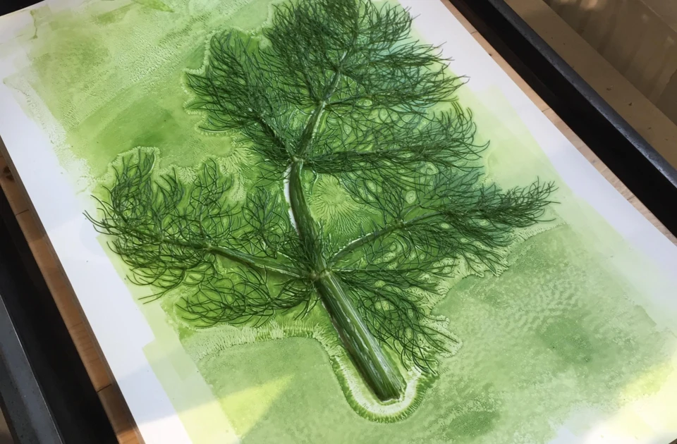 NATURE PRINT – plant printing on textile or paper