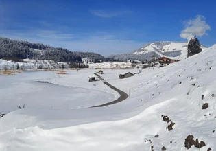 CUTTINGtraces - printing with self-carved wood and linocuts