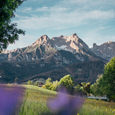 Holiday in Saalfelden Leogang in Austria